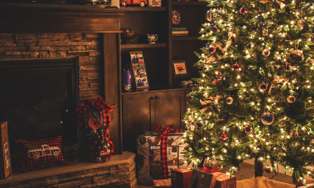 Eco-Friendly Christmas Trees: How Sustainable Is Your Christmas This ...