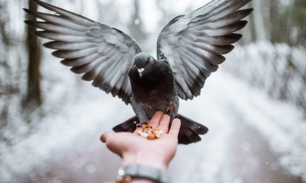 What is a Spirit Guide? The Types and The Signs When They Try to ...